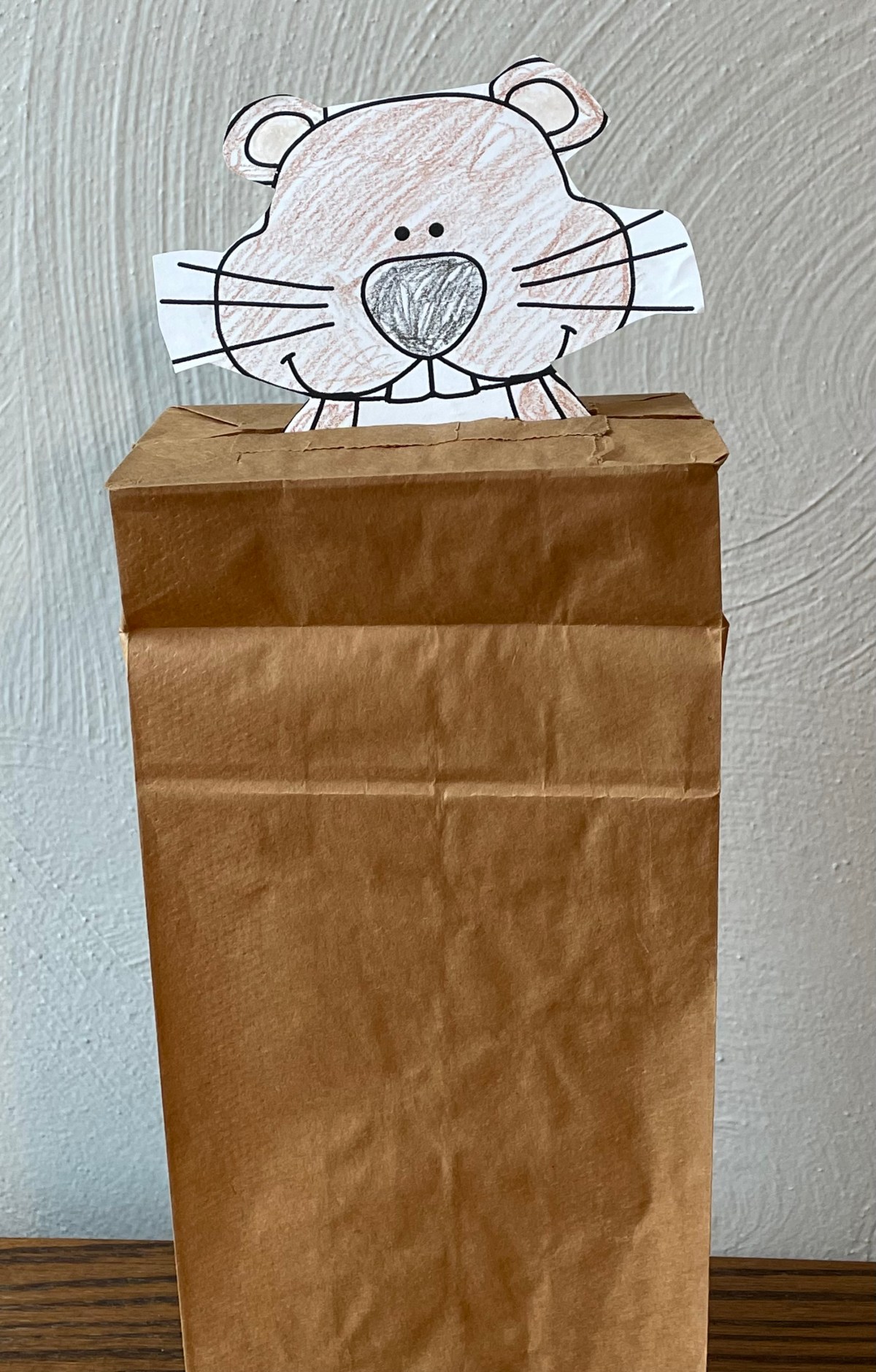 Groundhog Day Activities (shadow experiments, books, craft, puppet)