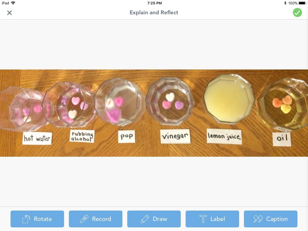 Valentine Science & STEM