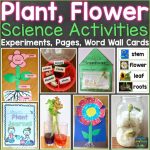 Plants Science Experiments & Teaching How Plants Grow