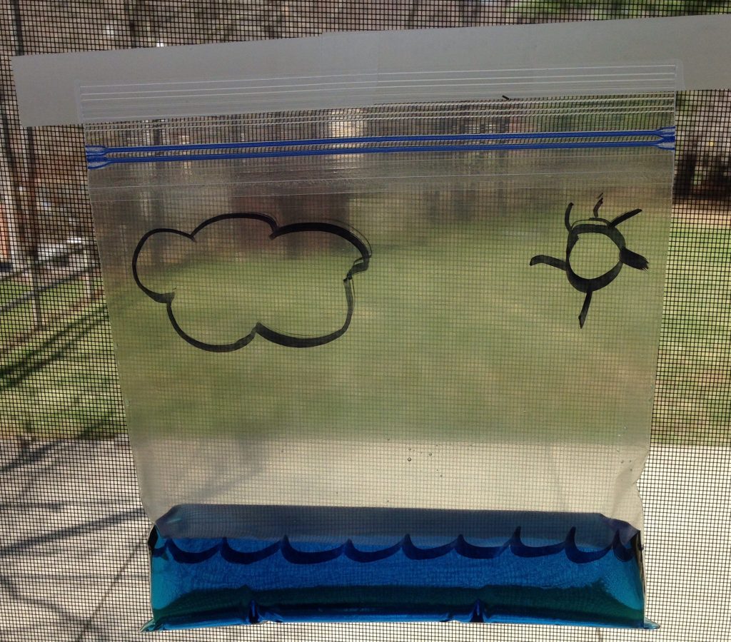 Water Cycle, Rain Cycle Science Experiments and Craftivity