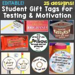 Testing Student Gift Ideas & Treats for Motivation & Positive Reinforcement