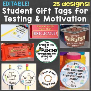Testing Student Gift Ideas & Treats for Motivation & Positive Reinforcement