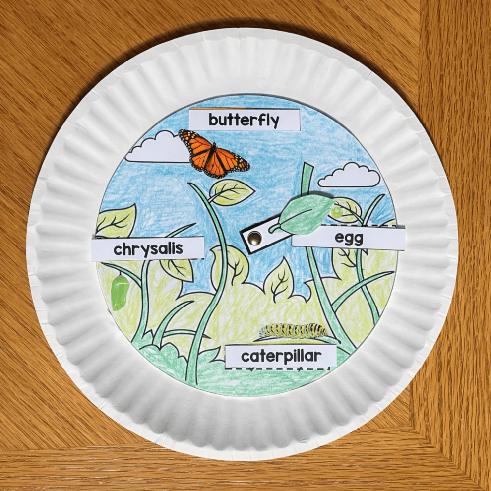 Plant & Animal Life Cycles Activities (Butterfly, Frog, Chicken, Plant ...