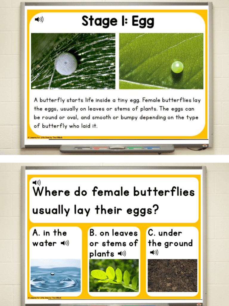 Plant & Animal Life Cycles Activities (Butterfly, Frog, Chicken, Plant ...