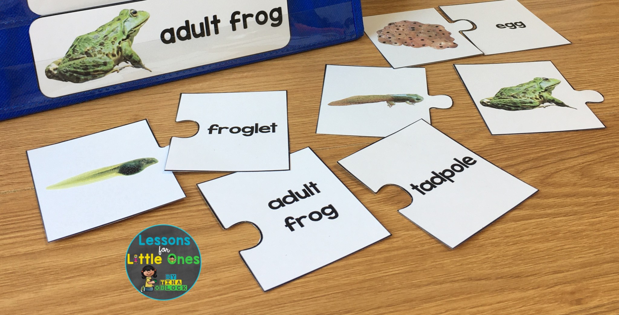 Life Cycle (Butterfly, Frog, Chicken, Plant) Teaching Ideas Plus Free ...