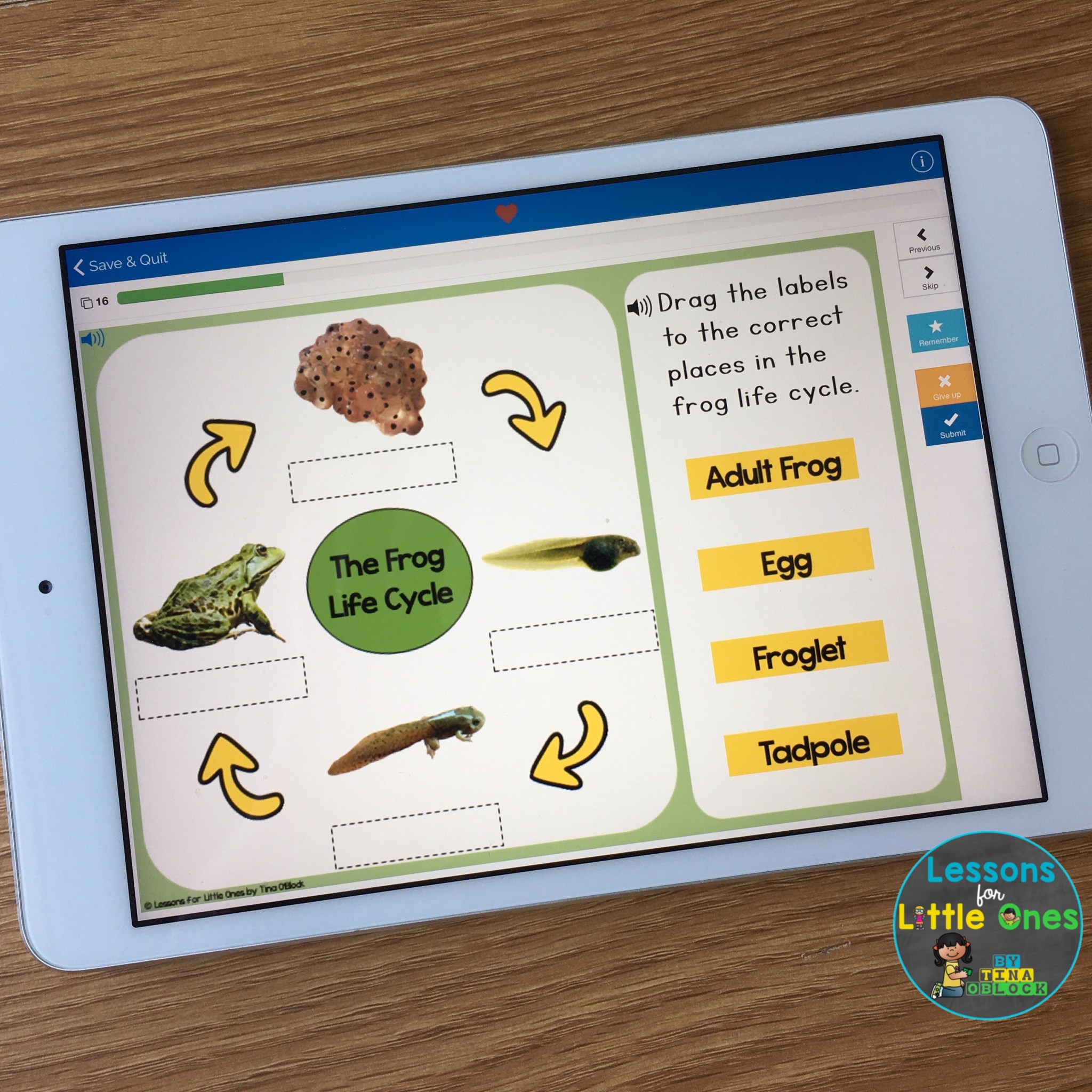 Life Cycle (Butterfly, Frog, Chicken, Plant) Teaching Ideas Plus Free ...