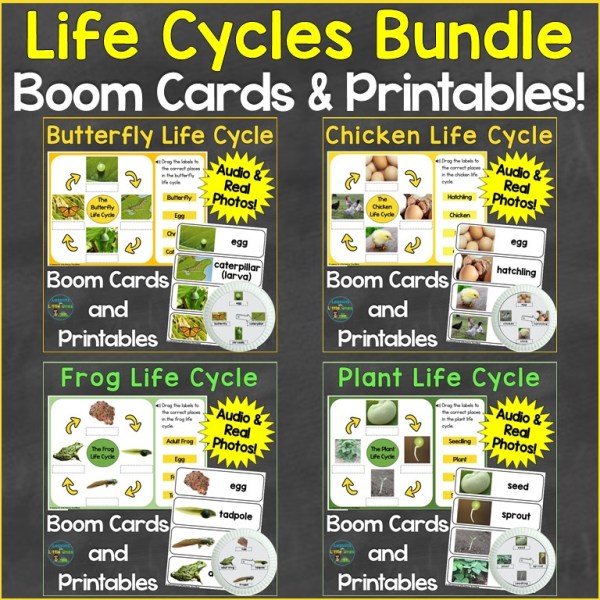 Life Cycle (Butterfly, Frog, Chicken, Plant) Teaching Ideas Plus Free ...