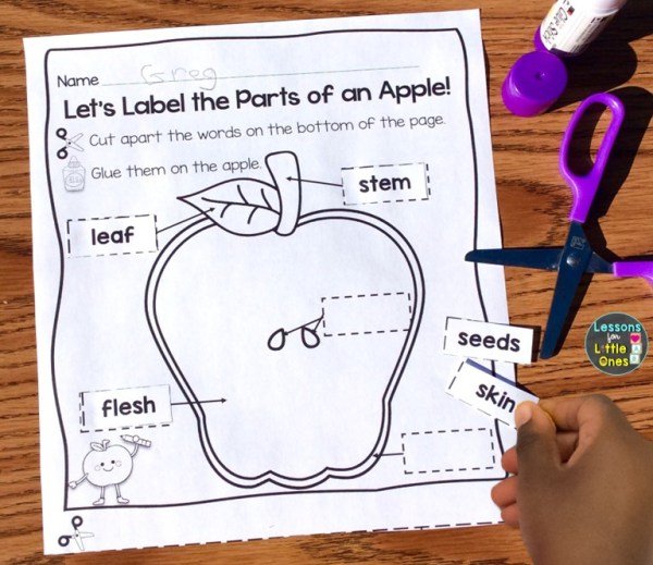 Apple Science Experiments & STEM Activities - Lessons for Little Ones ...