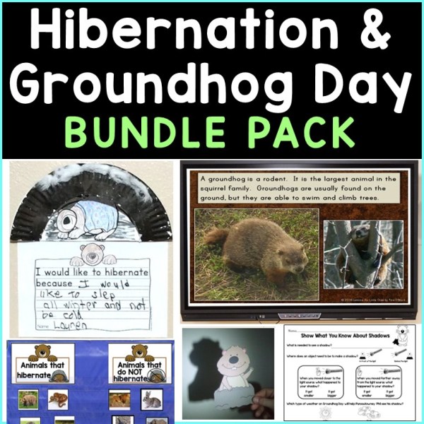 Groundhog Day Activities (shadow experiments, books, craft, puppet)