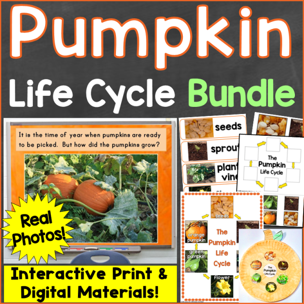 How to Make the Pumpkin Life Cycle Meaningful & Fun for Students