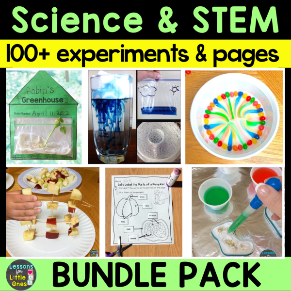 Flower Science Experiments & Parts of a Flower Activities