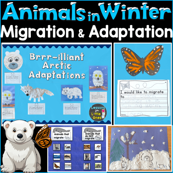 Animal Adaptations and Migration Activities, Crafts, and Videos for ...