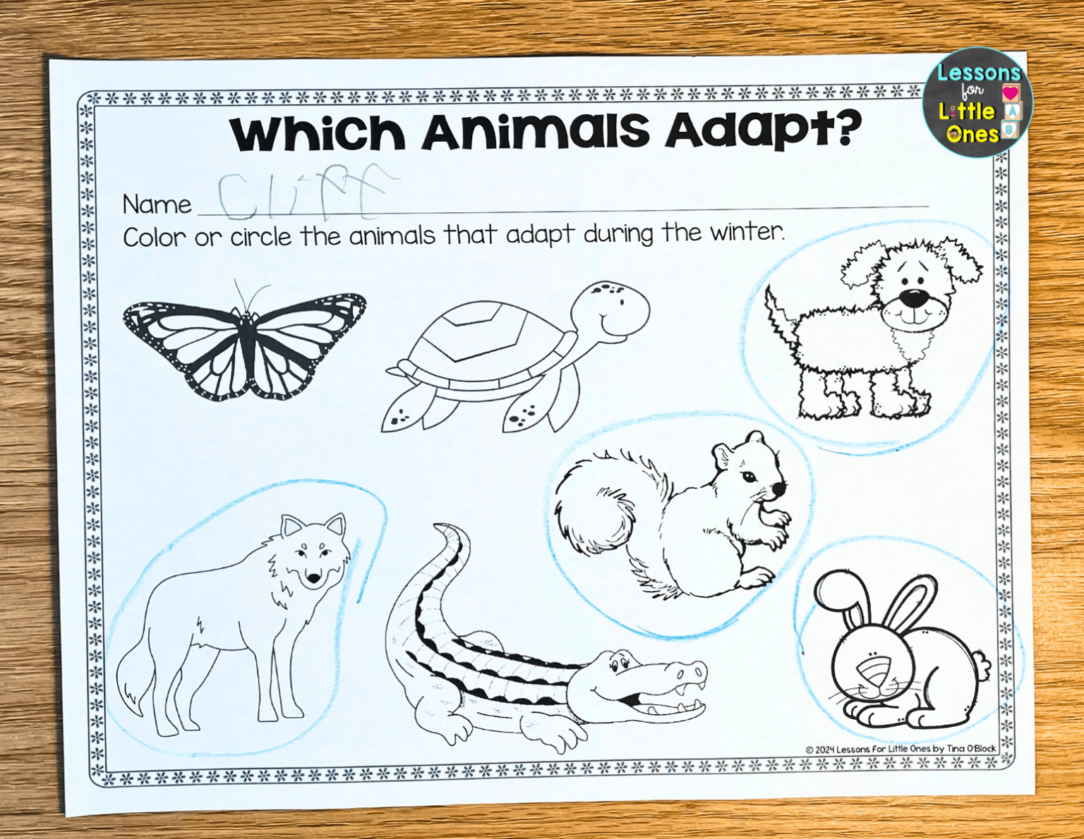 Animal Adaptations and Migration Activities, Crafts, and Videos for ...