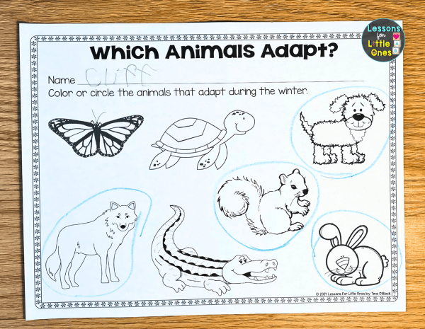 Animal Adaptations and Migration Activities, Crafts, and Videos for ...