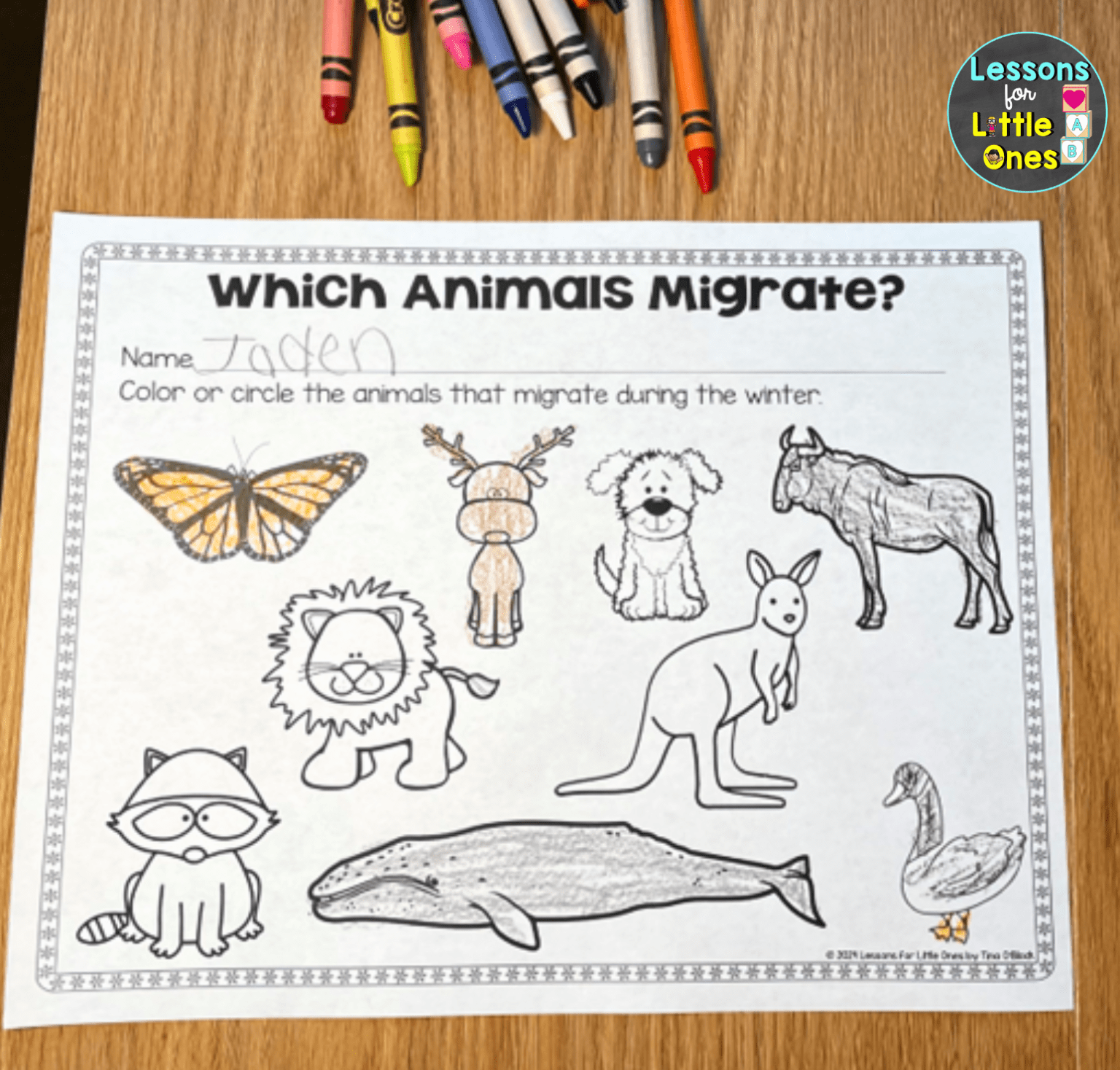 Animal Adaptations and Migration Activities, Crafts, and Videos for ...